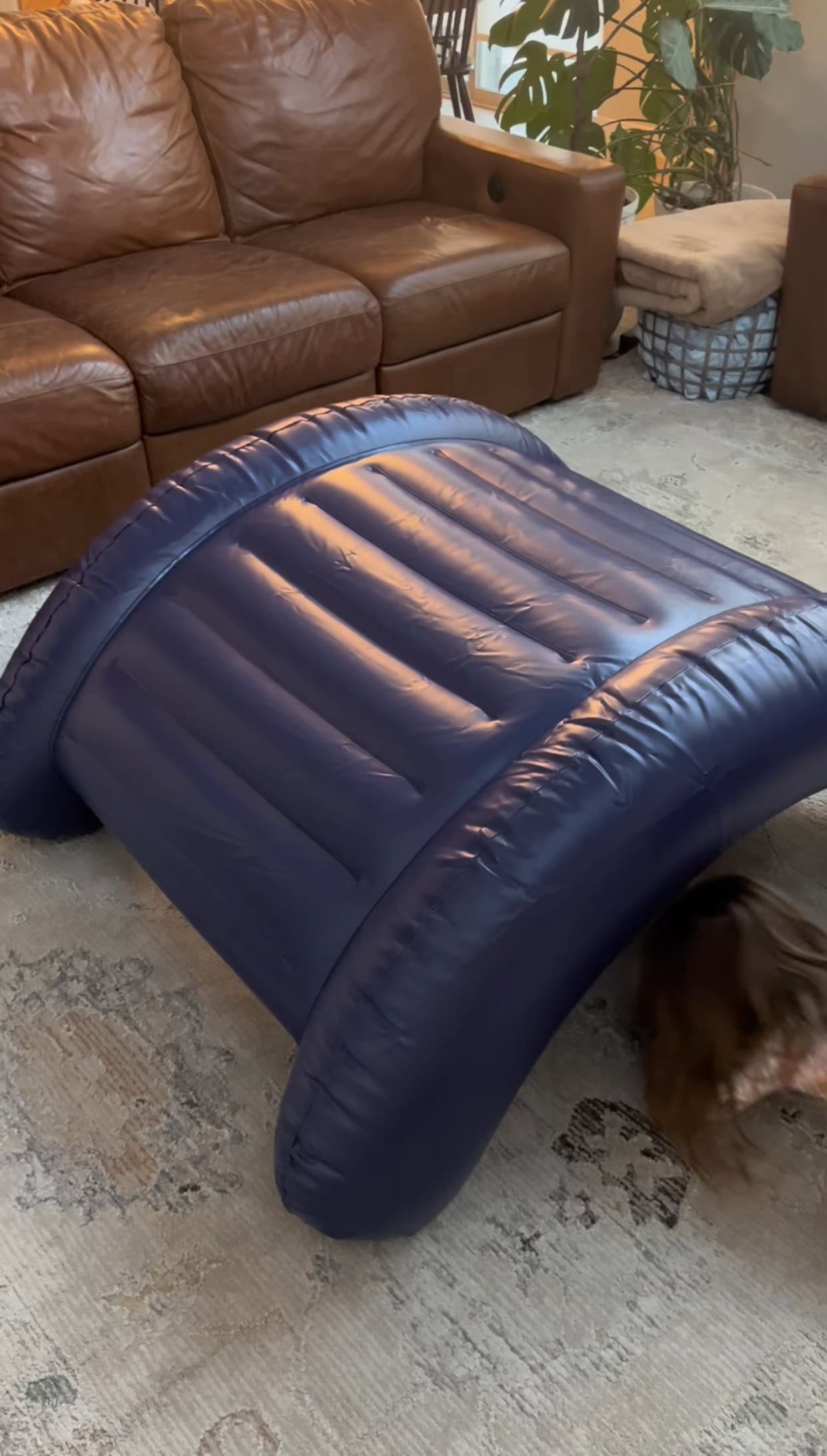 Our Favorite Sensory Rocker for Busy Kids - The Bargain Sisters®