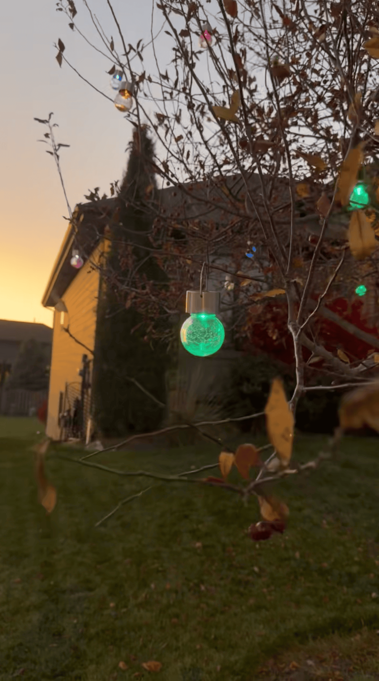 Add Magic to Your Yard With Solar Orb Lights - The Bargain Sisters®