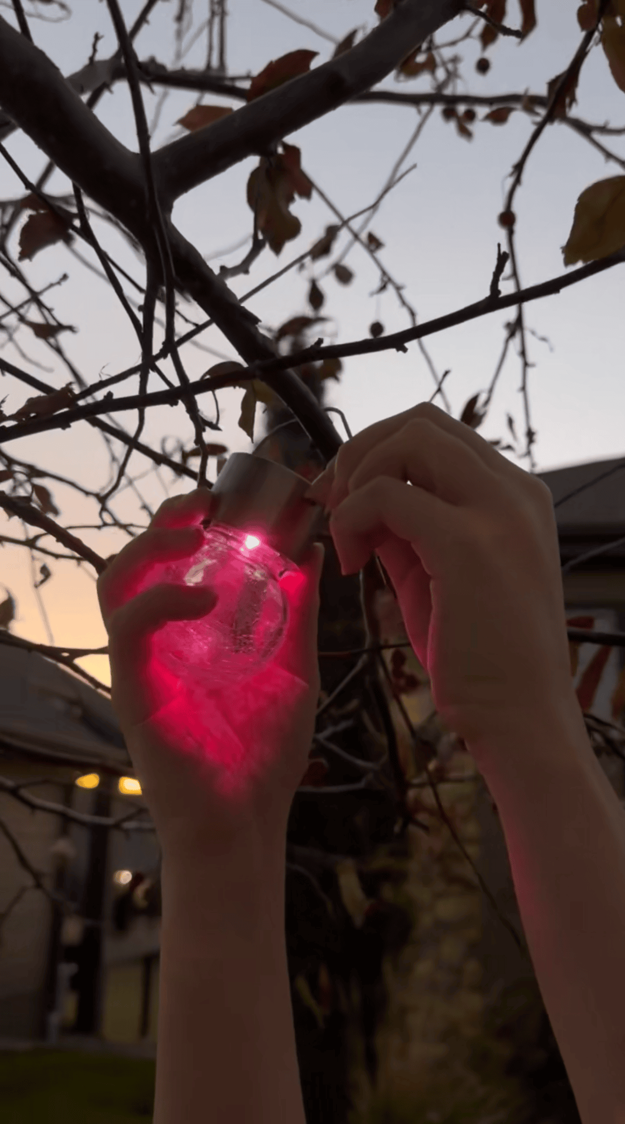 Add Magic to Your Yard With Solar Orb Lights - The Bargain Sisters®
