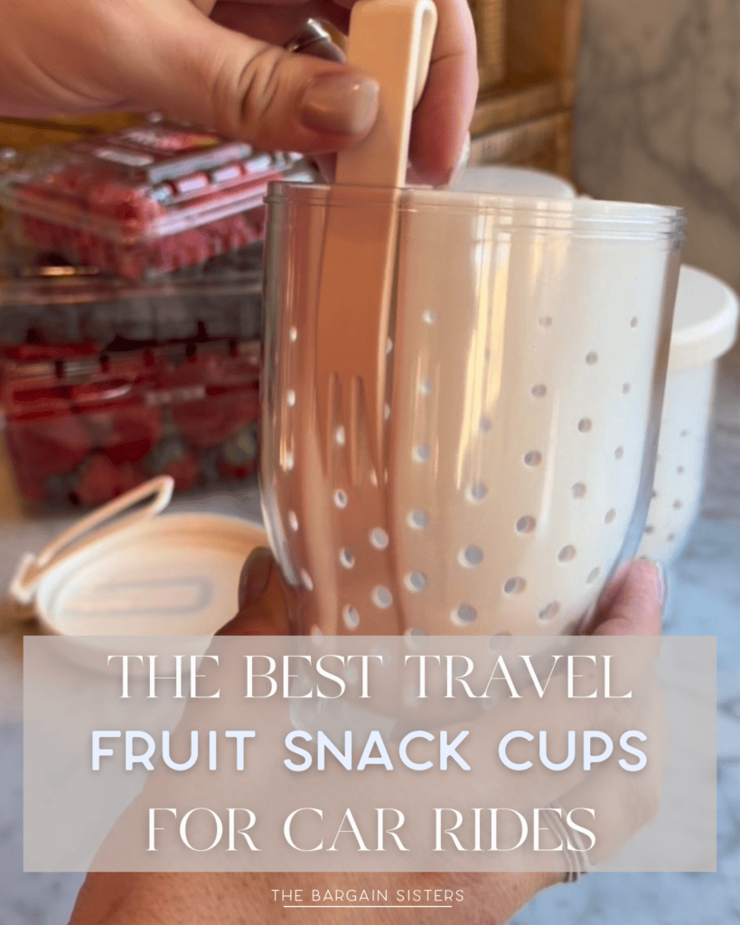 The Best Travel Fruit Cups for Car Rides - The Bargain Sisters®